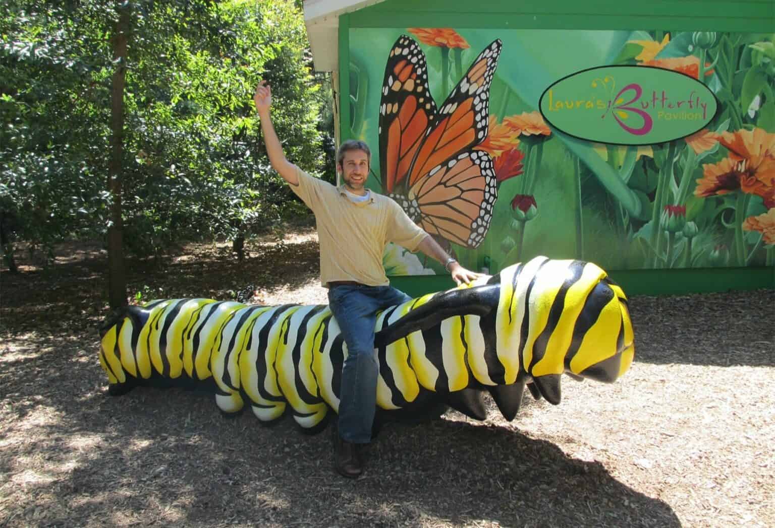 Designing a Small Meadow Garden with Commonly-Available Native Plants ...