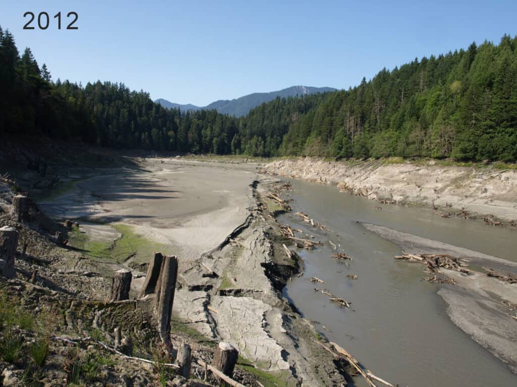 The Inspiring Tale of Elwha's Dam Removal and Biodiversity Resurgence ...