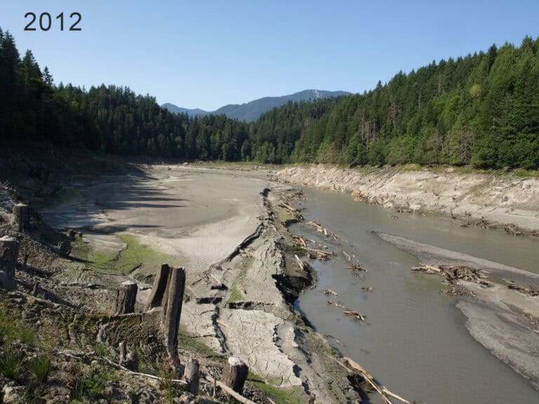 The Inspiring Tale of Elwha's Dam Removal and Biodiversity Resurgence ...