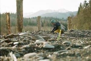 The Inspiring Tale of Elwha's Dam Removal and Biodiversity Resurgence ...
