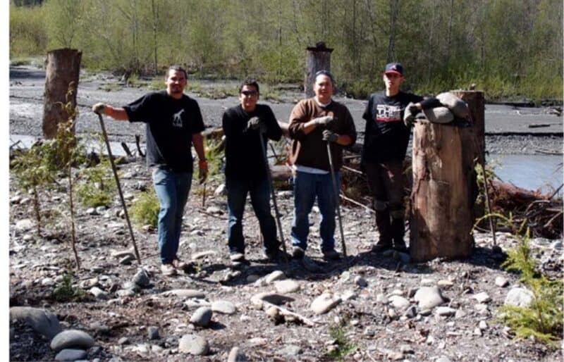 The Inspiring Tale of Elwha's Dam Removal and Biodiversity Resurgence ...