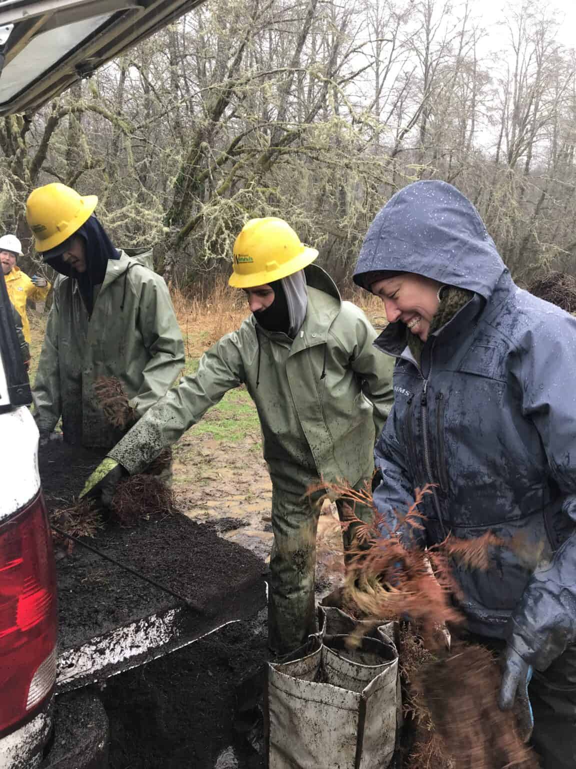 The Inspiring Tale of Elwha's Dam Removal and Biodiversity Resurgence ...