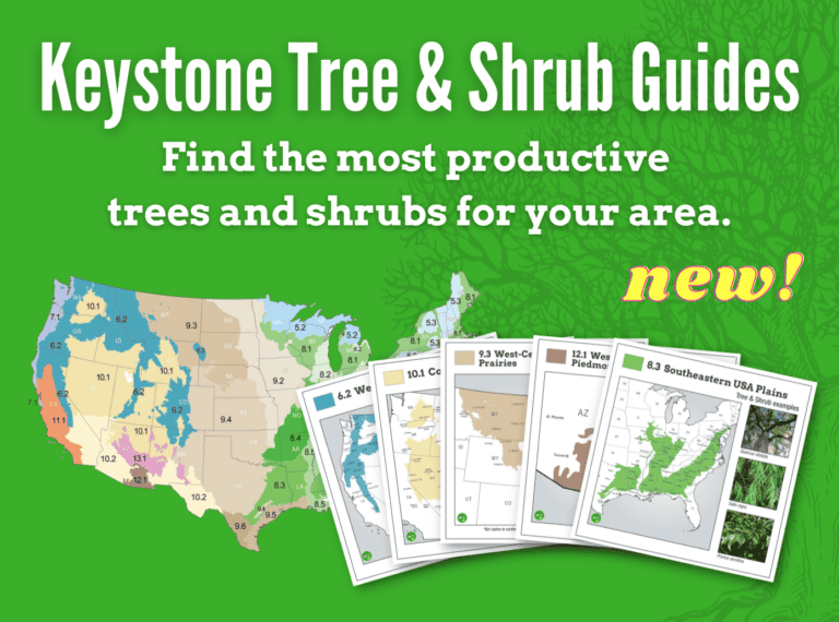 Homegrown National Park