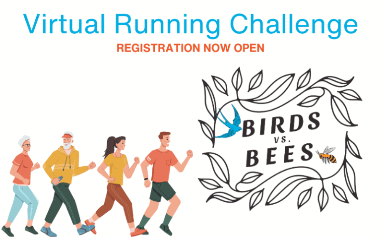 Birds vs. Bees: A Two-Month Virtual Running Challenge - Homegrown National Park
