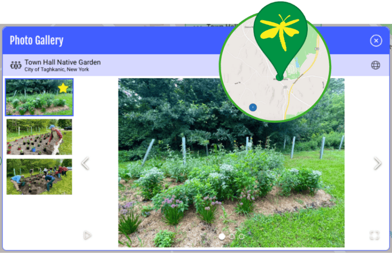 6 Cities Lighting Up the HNP Biodiversity Map - Homegrown National Park