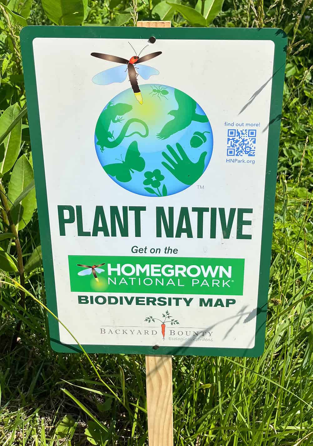 Meet Backyard Bounty: Native Landscape Influencers - Homegrown National ...