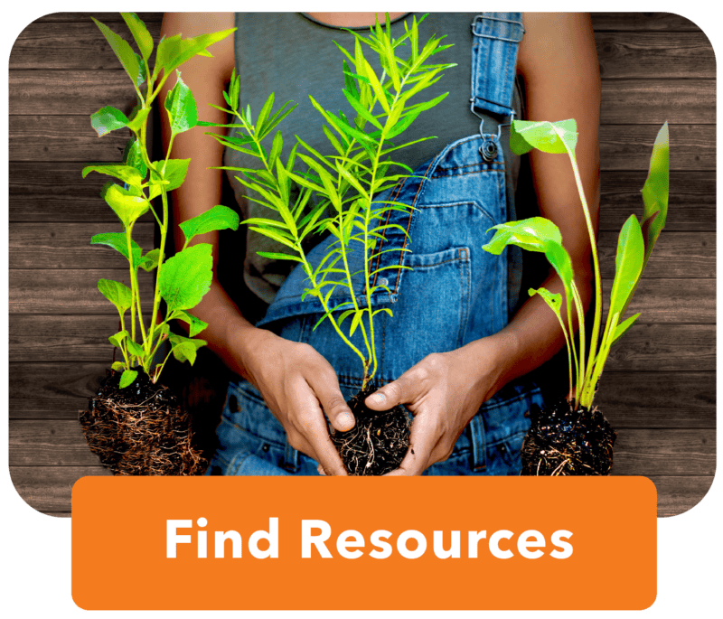 Landing Page - Homegrown National Park