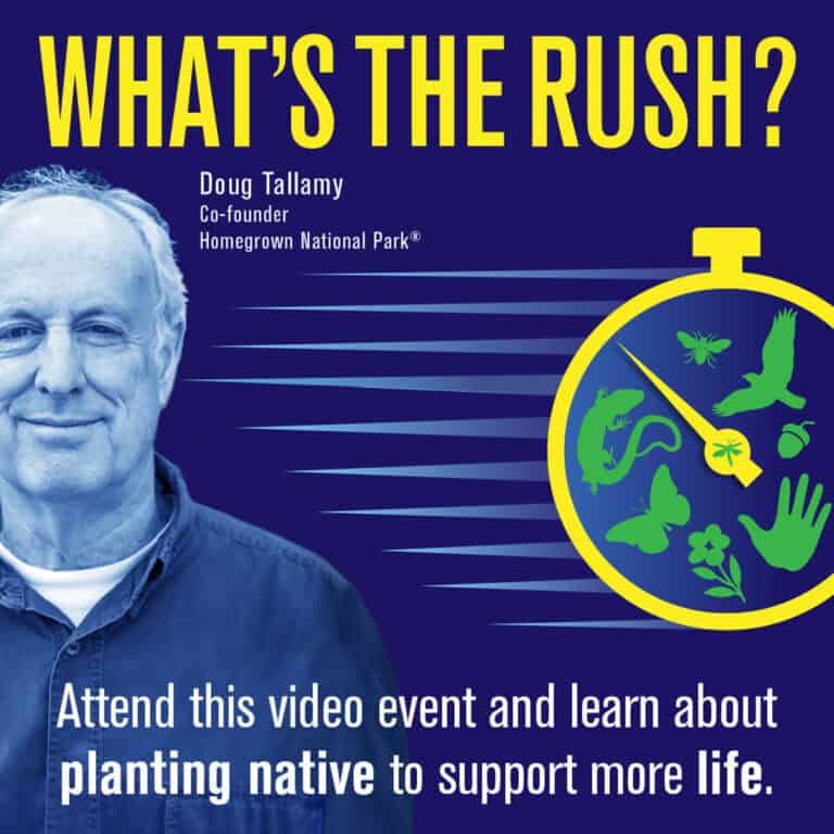 What's The Rush - Doug Tallamy - Homegrown National Park