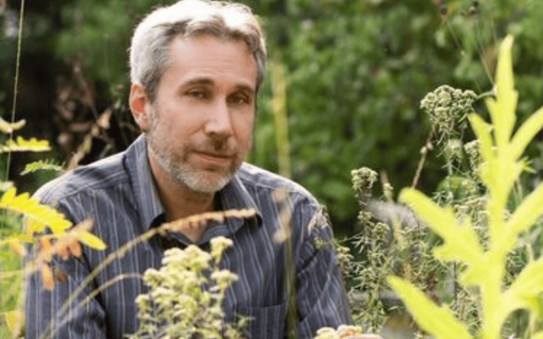 Blog - Homegrown National Park