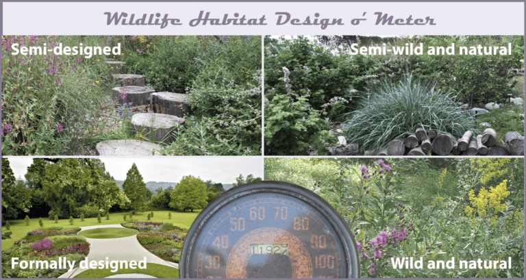 Design a Native Plant Landscape - Homegrown National Park