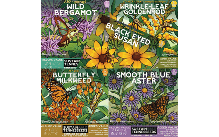 Where to Buy Native Plants Near You - Homegrown National Park