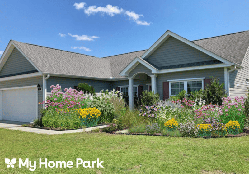 Home - Homegrown National Park - Regenerate Biodiversity