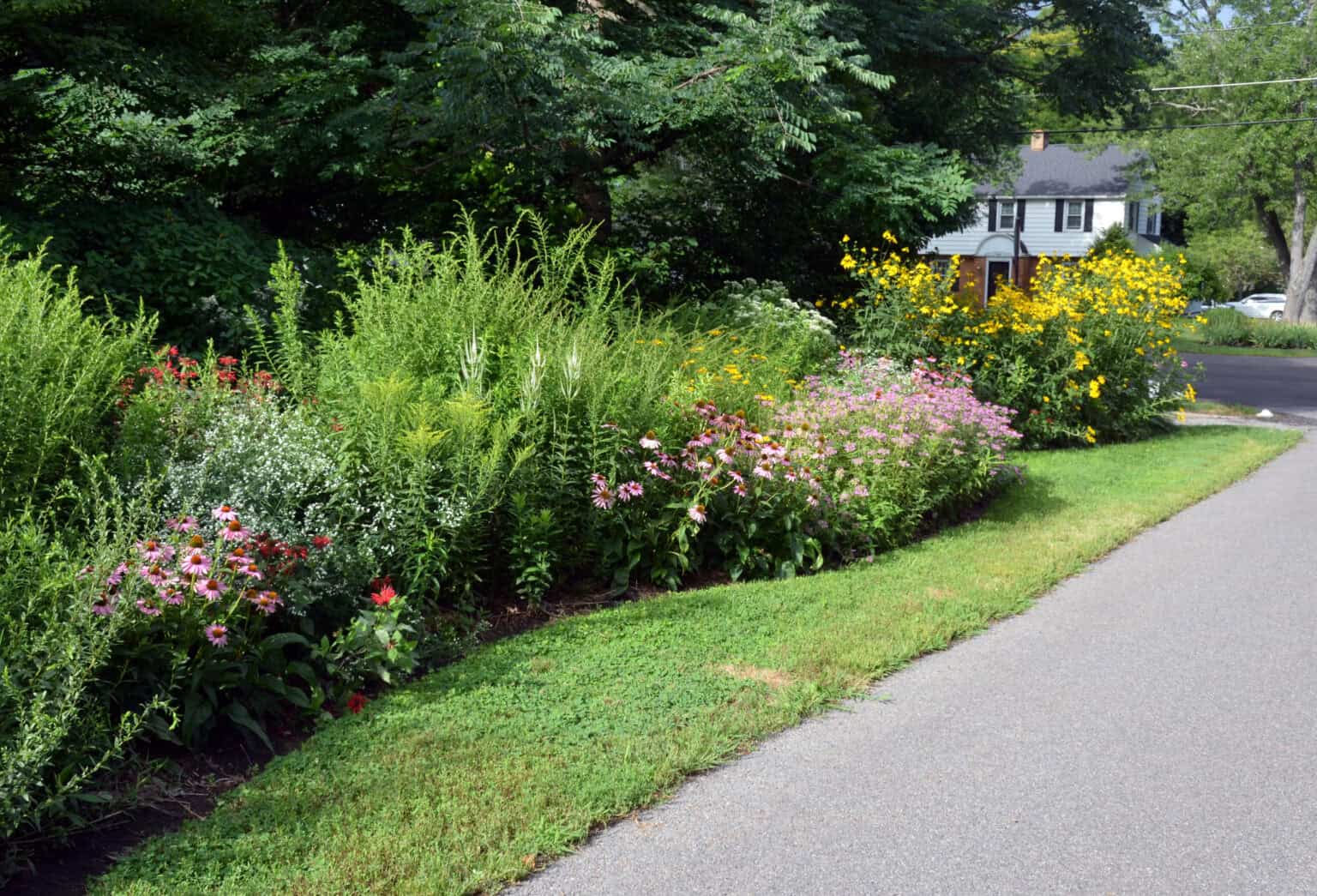 Planting Native in Your HOA Community - Homegrown National Park