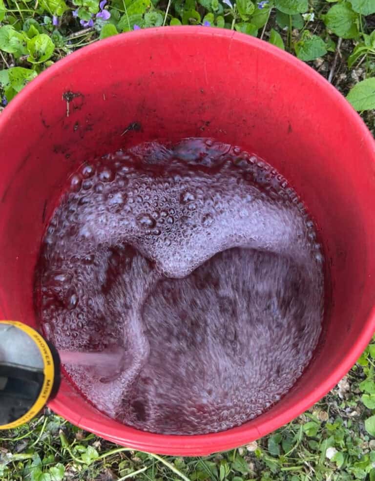 Build a Mosquito Bucket - Homegrown National Park