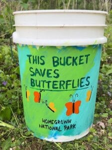 Mosquito Bucket Challenge - Homegrown National Park