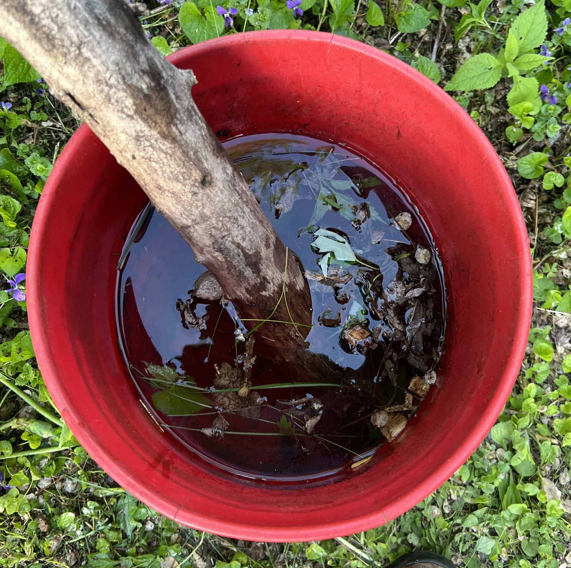 Mosquito Bucket Challenge - Homegrown National Park
