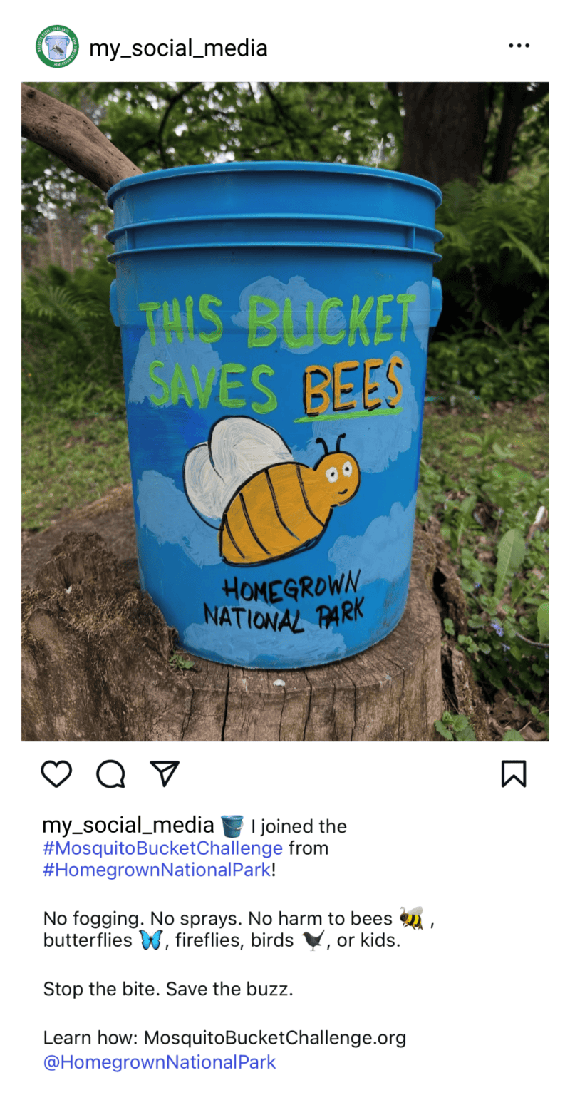 Mosquito Bucket Challenge - Homegrown National Park