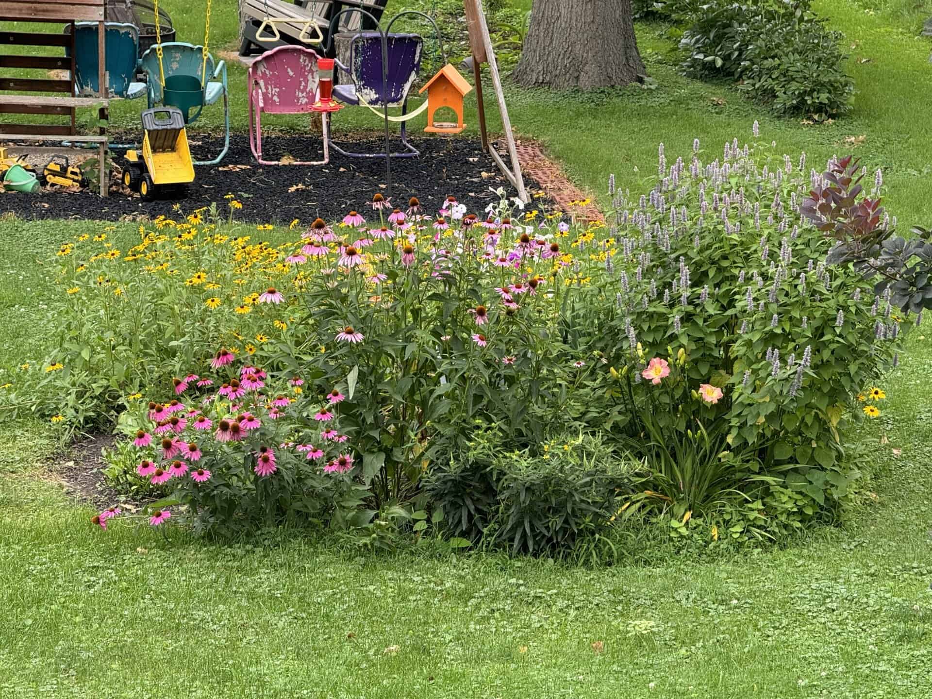 How to Talk with Your Neighbor - Homegrown National Park